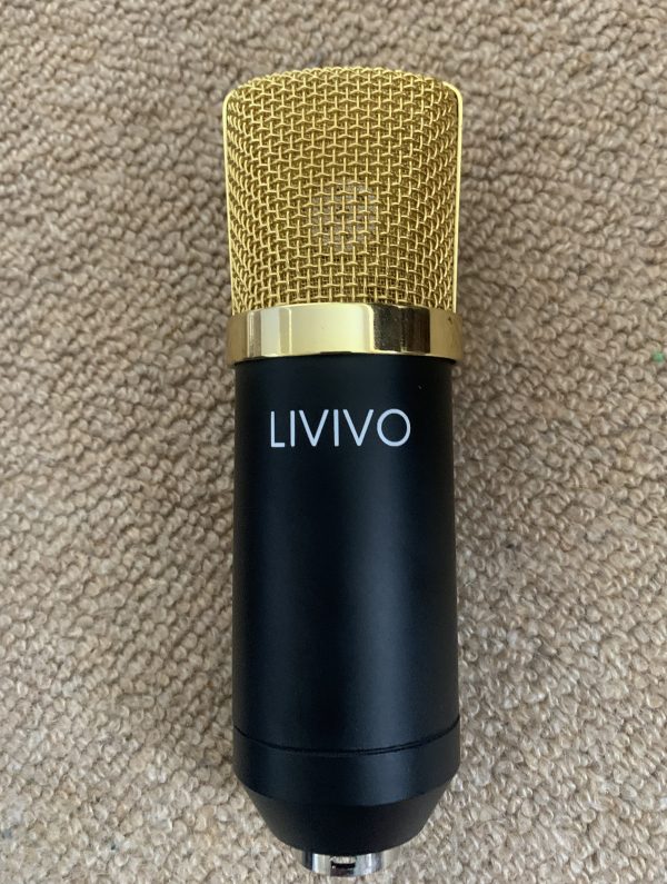 Livivo BM800 Studio Condenser XLR Microphone - Rock Stock Stores