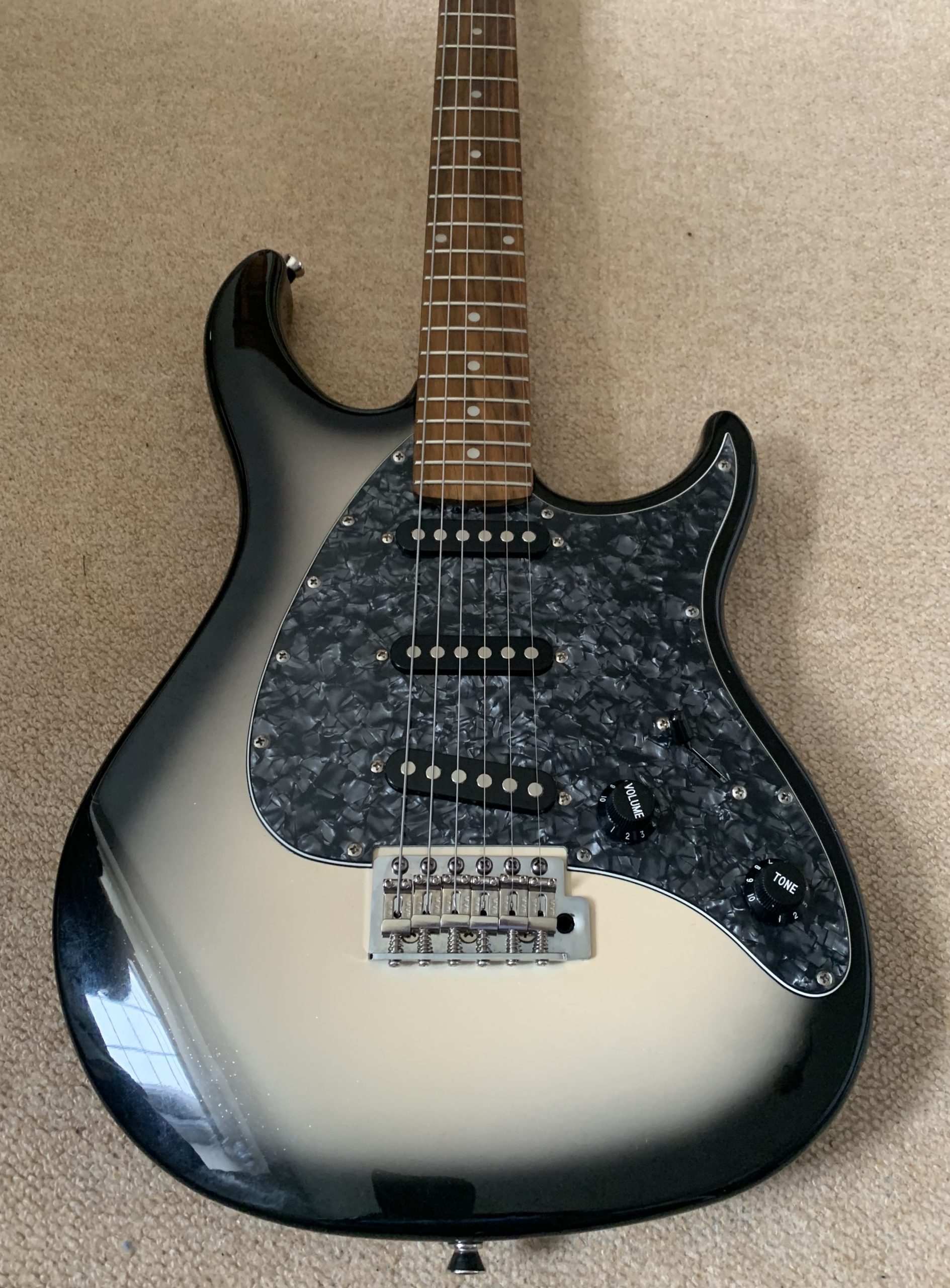 Peavey Raptor Custom Silverburst Electric Guitar - Rock Stock Stores